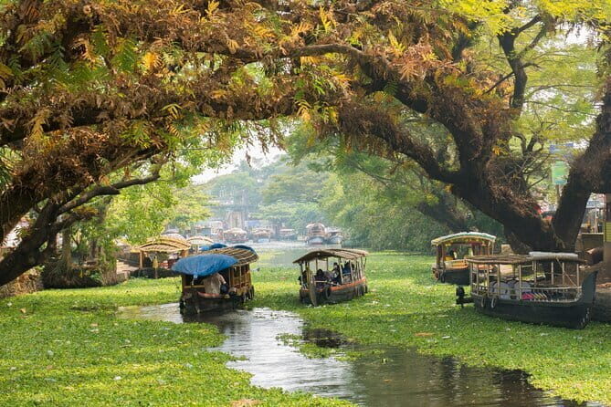 3 Nights Private Kerala Premium Package by Sanguine Holidays - Considerations: What to Keep in Mind