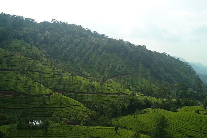 3 Nights Private Tour with Exclusive Houseboat- Sanguine Holidays - The Sum Up: Who Will Love This Tour?