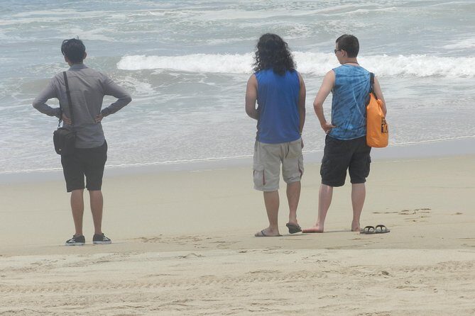 3 Palos Lagoon AfroMex Village Turtle Release & Croc Farm Visit - An Overview of the Experience