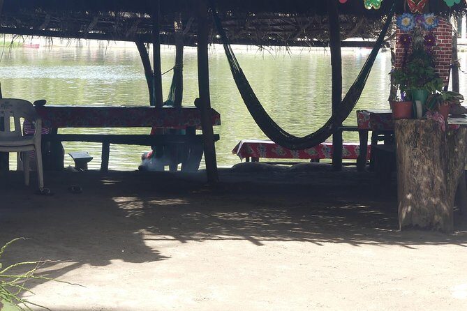 3 Palos Lagoon AfroMex Village Turtle Release & Croc Farm Visit - What’s Included and What’s Not