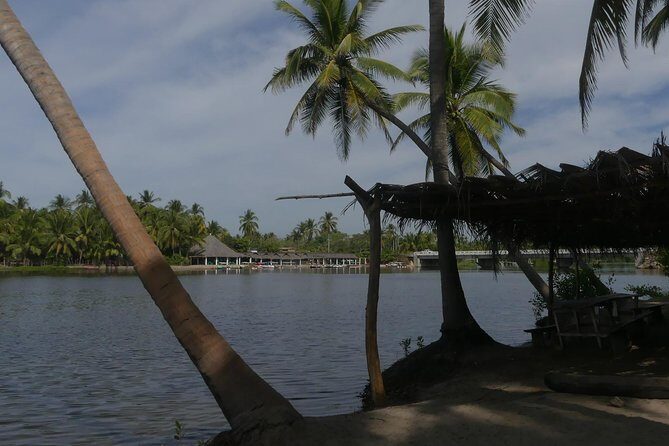 3 Palos Lagoon AfroMex Village Turtle Release & Croc Farm Visit - In Summary