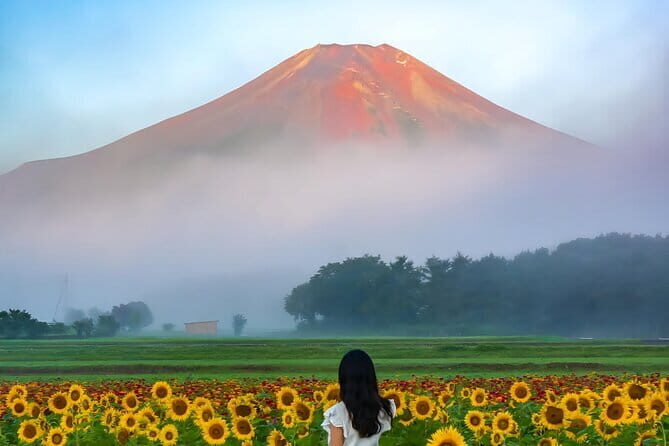 3 Perfect Days in Japan: Private Tokyo City, Mount Fuji & Kyoto - A Detailed Look at the Itinerary