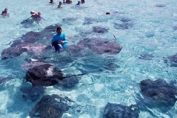 3 Stop Boat Tour Stingray City Coral Gardens and Starfish Point - Discovering the Itinerary: What Makes Each Stop Special