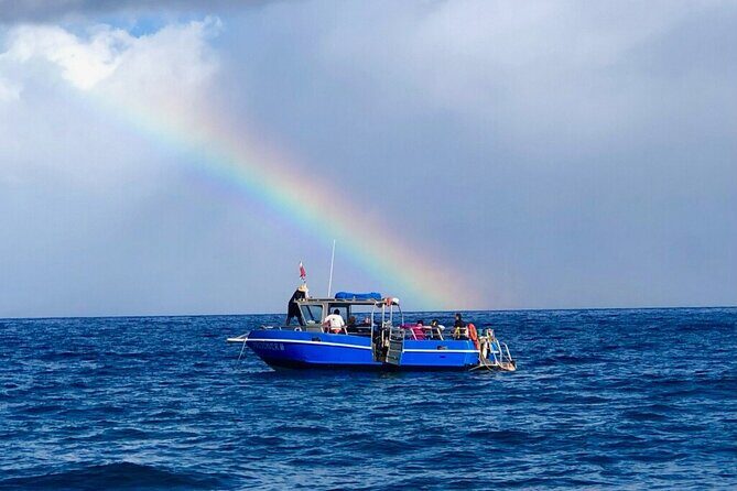 3-Tank Dive Featuring the Molokini Crater - In-Depth Itinerary Breakdown