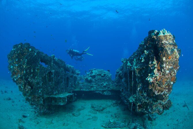 3-Tank Dive Featuring the Molokini Crater - The Experience and Personal Touch