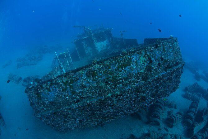3-Tank Dive Featuring the Molokini Crater - The Sum Up: Who Should Consider This Tour?
