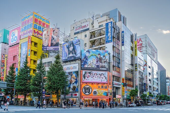 3 to 5 Hours Private Tour in Tokyo with Local Guide - The Sum Up: Is This Tour Right for You?