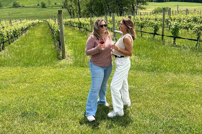 3 VA Wineries Day Trip with Optional Tasting-Inclusive Upgrade - An In-Depth Review of the Wineries and Experience