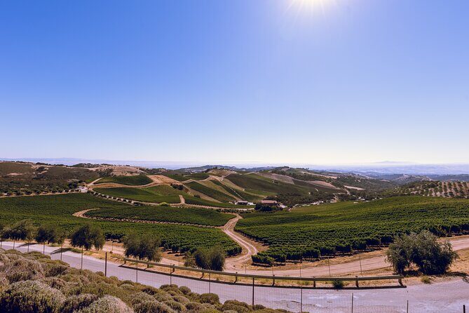 3-Winery Tour Includes Lunch from Paso Robles & Atascadero - Who Will Love This Tour?