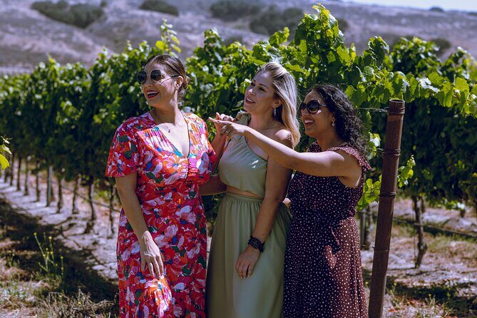 3-Winery Tour Includes Tastings & Lunch from Santa Ynez/Solvang - Who Will Love This Tour?