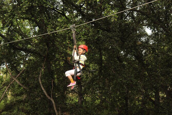 3 Zipline Adventure with Waikiki Transportation - An In-Depth Look at the 3 Zipline Adventure