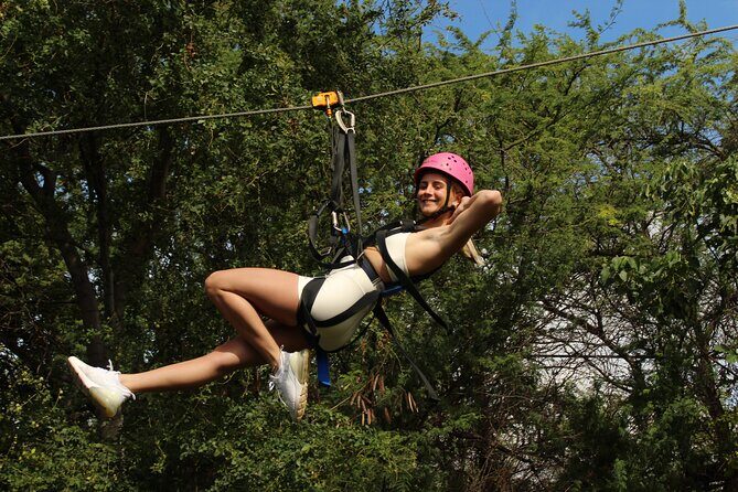 3 Ziplines & Dolphin Watching Snorkel Adventure - The Value of This Adventure