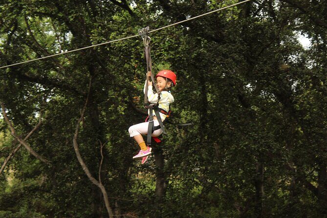 3 Ziplines & Dolphin Watching Snorkel Adventure - Practical Tips and Considerations