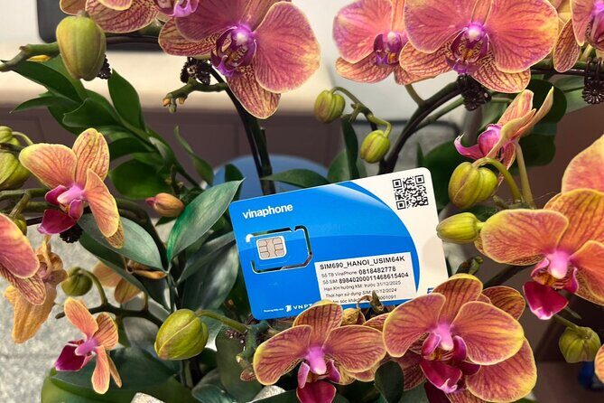 30 Days Unlimited DATA SIM CARD Vietnam - Why This SIM Card Is a Good Fit