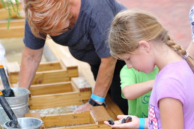30-Minute Airboat Ride, Lunch, Gem Mining and Park Admission - Final Thoughts