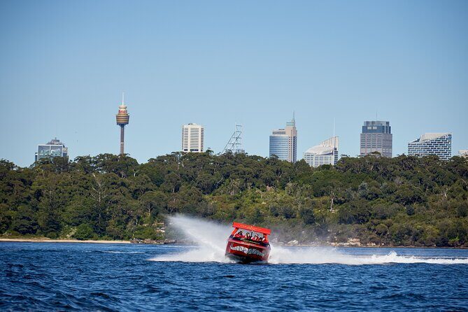 30-Minute Sydney Harbour Jet Boat Thrill Ride - The Experience: Speed, Splash, and Smiles