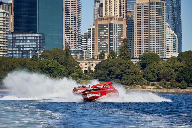 30-Minute Sydney Harbour Jet Boat Thrill Ride - Practical Details: Costs, Safety, and Flexibility