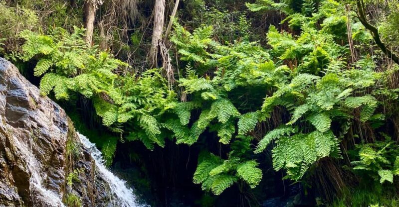 30 minutes from Porto: Waterfalls, Hiking and Picnic - An In-Depth Look at the Experience