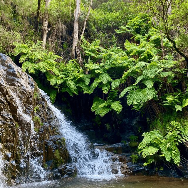 30 minutes from Porto: Waterfalls, Hiking and Picnic - What Past Travelers Say