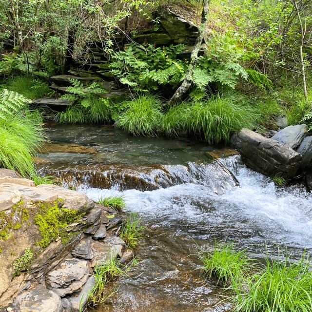30 minutes from Porto: Waterfalls, Hiking and Picnic - The Sum Up