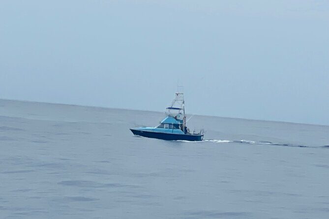 35 foot Bertram 4 Hour Charter - A Detailed Look at the Experience