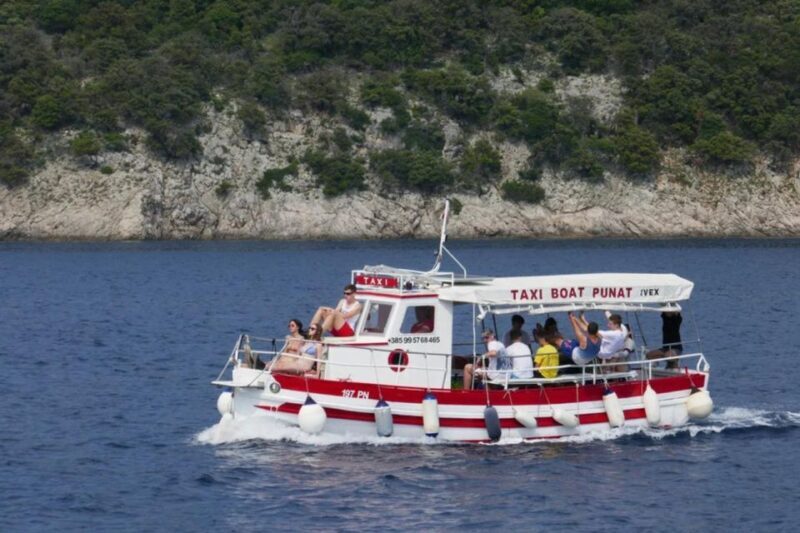 3,5h Wild Bays: Swim & Snorkel with Capt. Bobo (Public) - Key Points