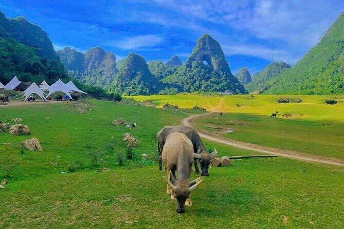 3D2N Cao Bang Mountains, Waterfalls & Local Life - FAQ