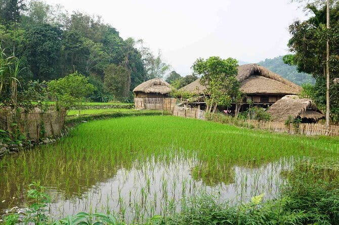 3D2N Ha Giang Motorcycle Tour with Local Guides - Key Points
