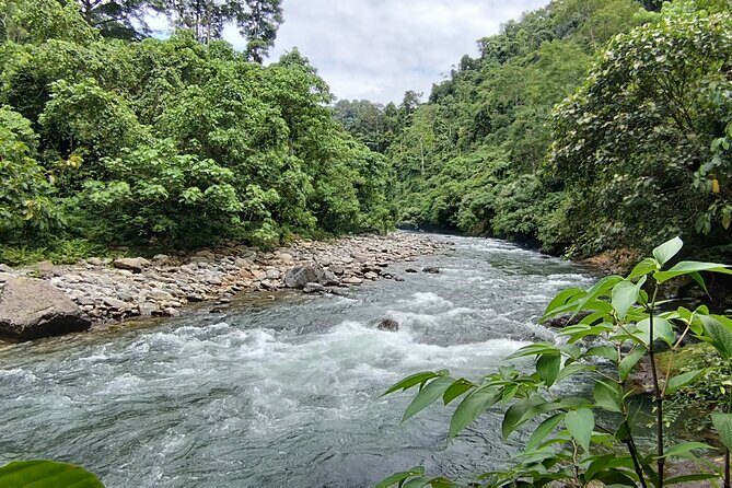 3D2N Jungle Trek | 2 Night accommodation | Pick up and drop off - Final Thoughts