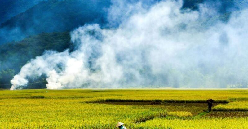 3D2N Mai Chau - Pu Luong from rice valley to nature reserve - An In-Depth Look at the 3D2N Mai Chau - Pu Luong Experience