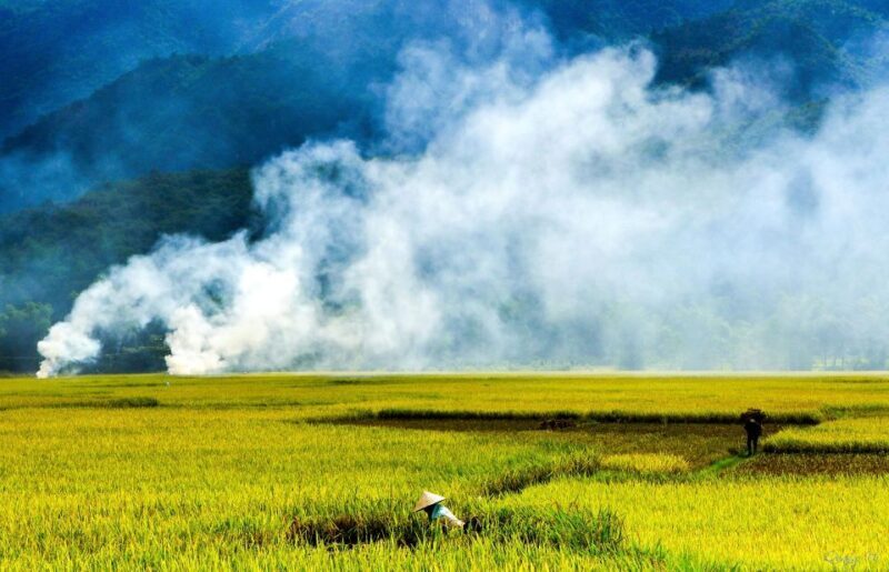 3D2N Mai Chau - Pu Luong from rice valley to nature reserve - What Past Travelers Say