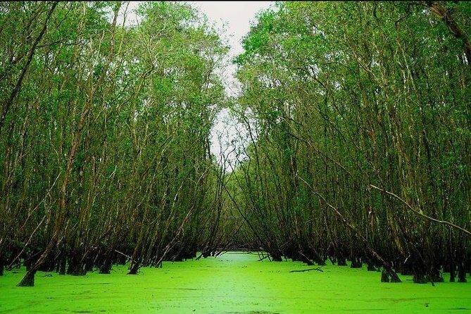 3D2N Mekong - Floating Market - Chau Doc - Boat To Phnom Penh - A Detailed Look at the Itinerary