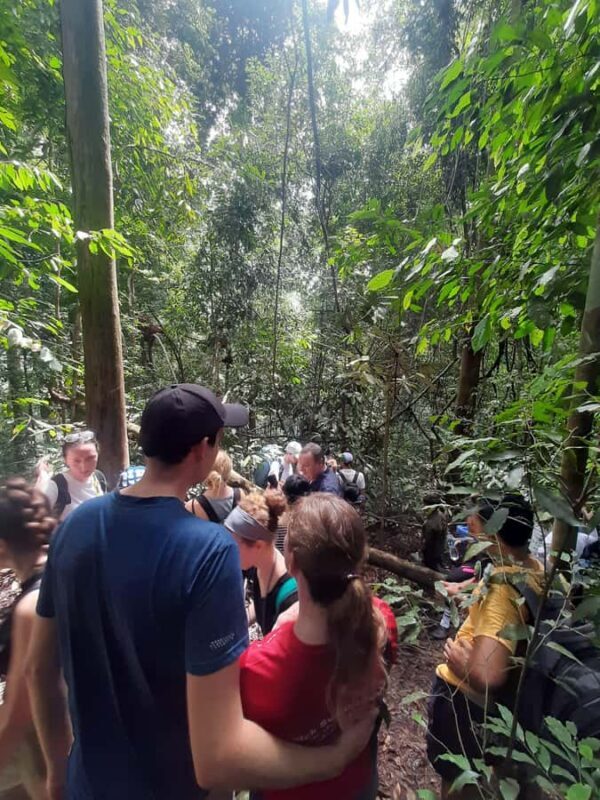 3D2N Orangutan Expedition:from Bukit Lawang - Who Should Consider This Tour?