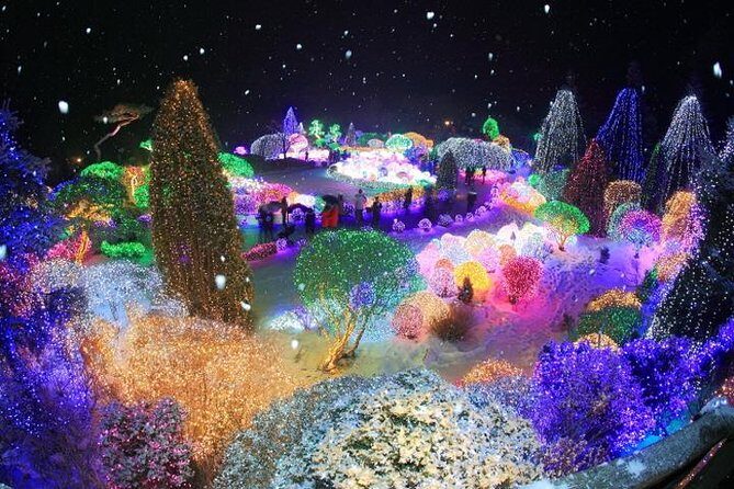 3day Korea winter private tour to Nami, Ski Resort and Ice Fishing Festival - FAQ