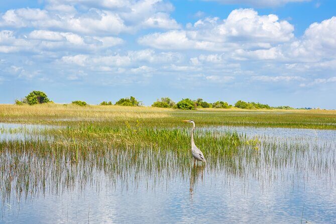 3h Boat Safari - Montreals Nature and Iconic Attractions Tour - Key Points