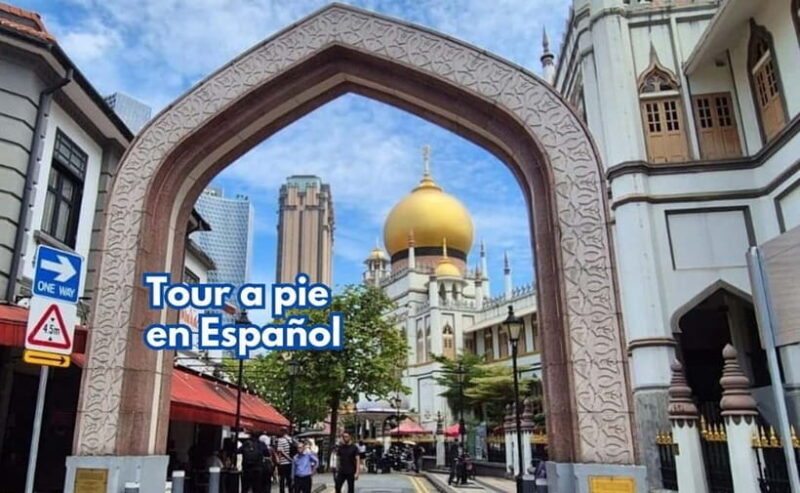 3h Chinatown, Little India,Arab Street SPANISH Walking Tour - Practical Details and Value