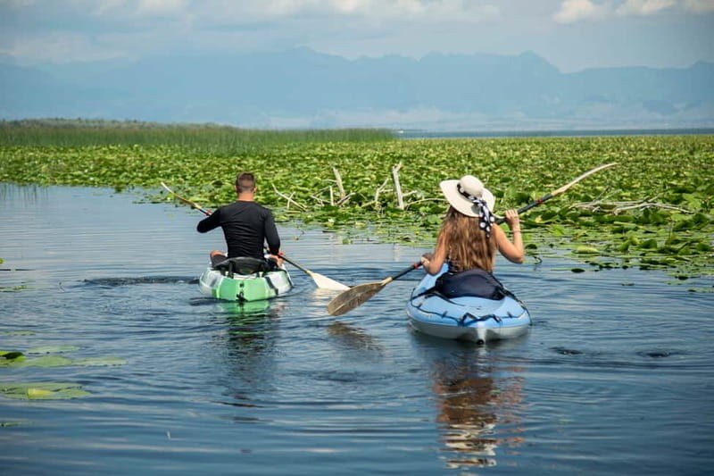 3h Guided Kayaking Adventure on Skadar Lake to hidden spots! - The Experience Provider: Boat Milica Kayaking