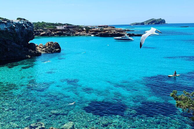 3h Private Cruise + Drinks, Snorkel & Paddle - The Itinerary: Whats on the Menu?