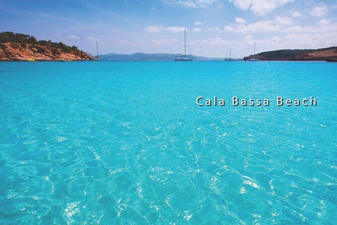 3h Private Cruise + Drinks, Snorkel & Paddle - The Real Deal: Authentic Experiences and Tips