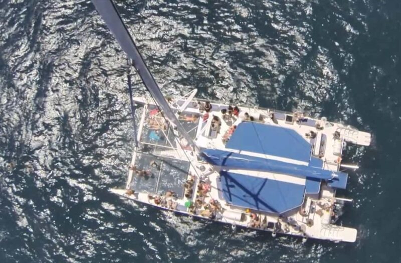 3h Sailing & Swim & Tapas: Gastronomic Esperience Barcelona - The Crew and the Experience: Friendly, Knowledgeable, and Comfortable