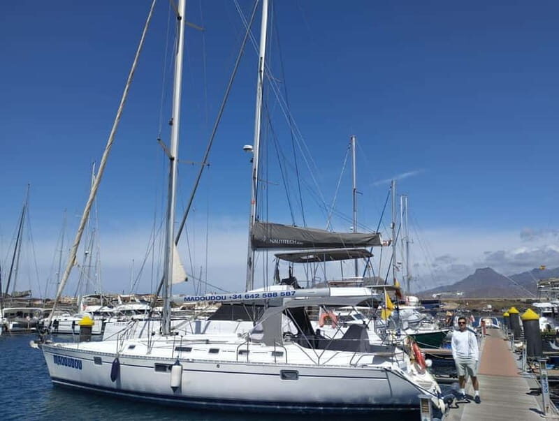 3h Whale Watching Private tour Beneteau Oceanis 440 - An In-Depth Look at the Experience