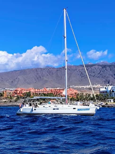 3h Whale Watching Private tour Beneteau Oceanis 440 - Final Thoughts: Why This Tour Stands Out