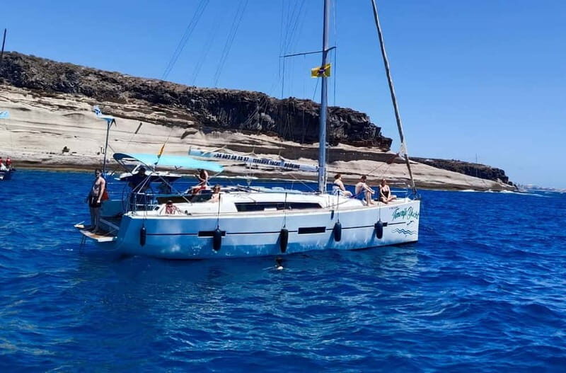 3h Whale Watching Private Tour Costa Adeje Lina7 Mizendoha - An In-Depth Look at the Whale Watching Experience