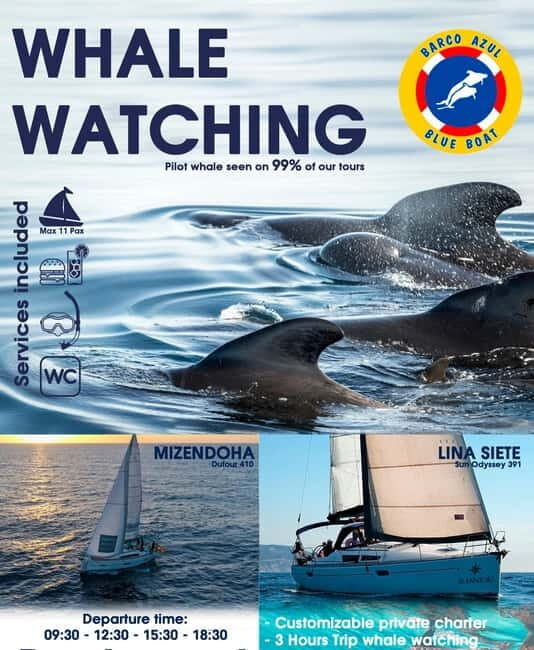 3h Whale Watching Private Tour Costa Adeje Lina7 Mizendoha - FAQ