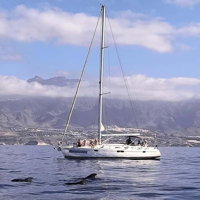 3h Whale Watching Share Tour Beneteau Oceanis 440 - What to Expect from the Whale Watching Tour