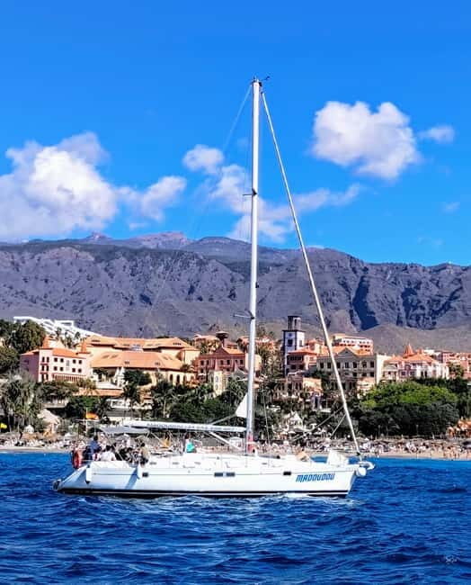 3h Whale Watching Share Tour Beneteau Oceanis 440 - The Value of This Tour