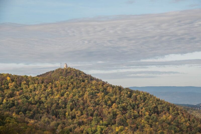 3Hour Outdoor Budapest Normafa Hike&History With a Historian - Key Points