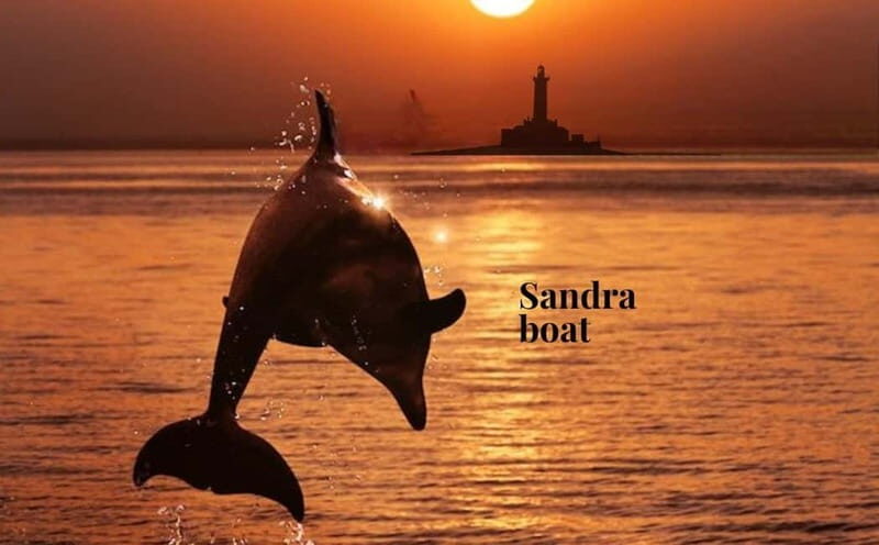 3hours Dolphin Sunset watching with unlimited drinks +dinner - What to Expect on the Dolphin Sunset Tour