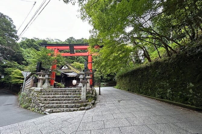 (3hours)Zero Emission Car Private Kyoto Tour with Japanese Guide - What Travelers Say About This Experience