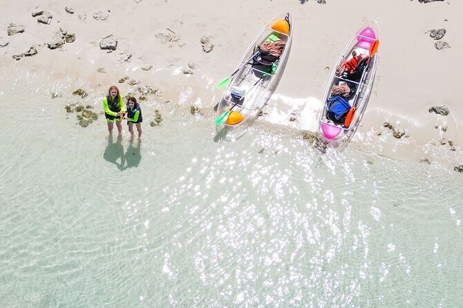 3HR Clear Kayak Mangrove and iguana island Tour in Leeward - What to Expect from the Tour